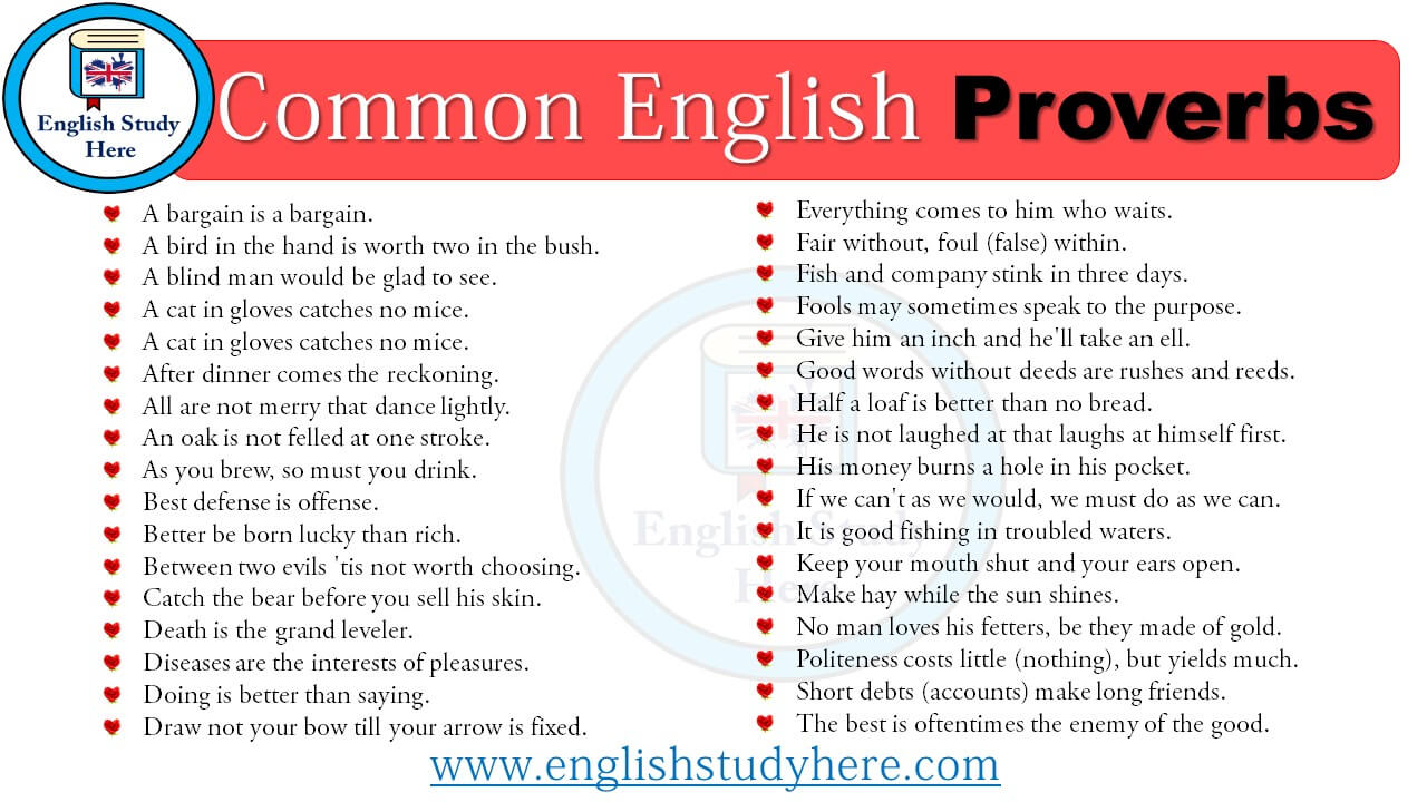 Common English Proverbs English Study Here