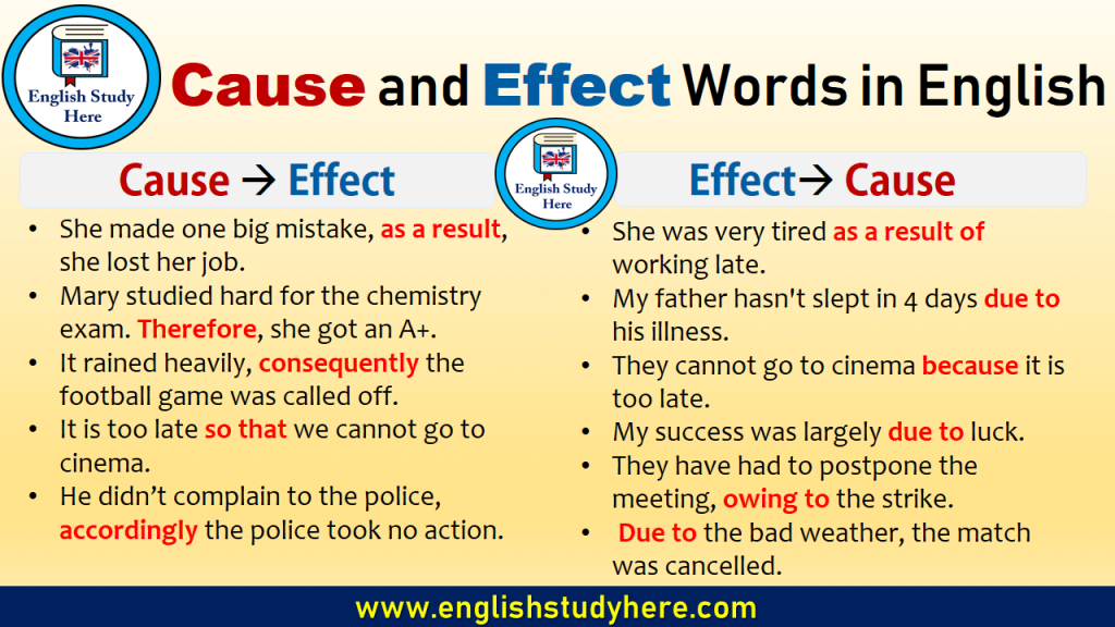 Connectors In English English Study Here
