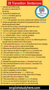 28 Transition Sentences, Transition Words and Example Sentences ...