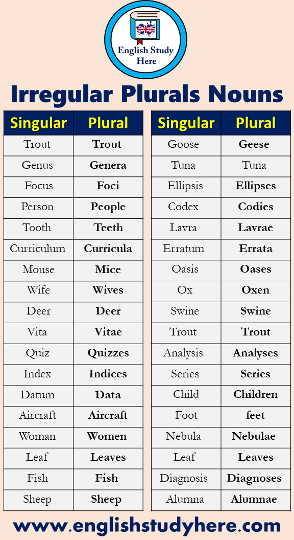  70 Irregular Plurals Nouns In English English Study Here