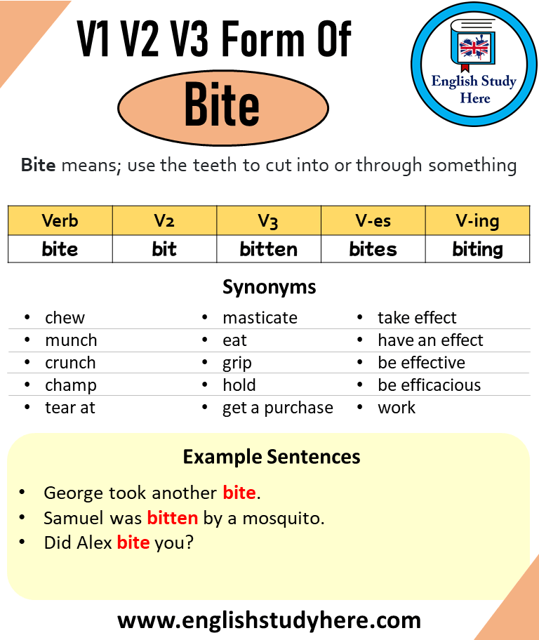 Past Tense Of Bite Past Participle Of Bite V1 V2 V3 V4 V5 Form Of