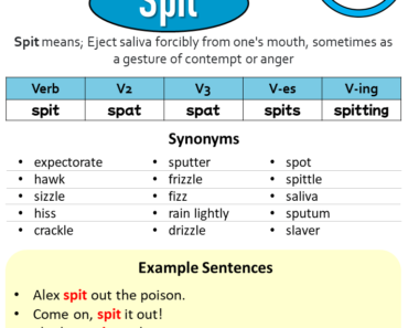 Past Participle of Spit Archives - English Study Here