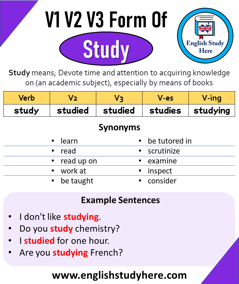 Study Past Simple Simple Past Tense Of Study Past 40 OFF
