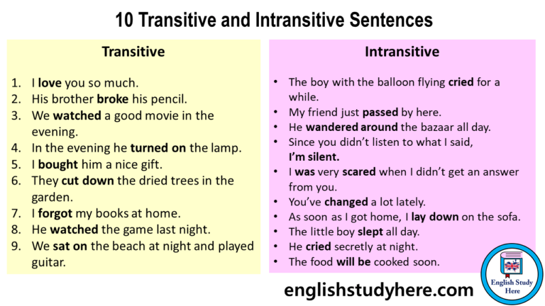 10 Transitive and Intransitive Sentences - English Study Here