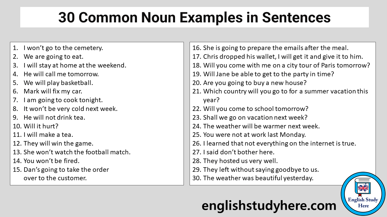 30 Common Noun Examples In Sentences English Study Here