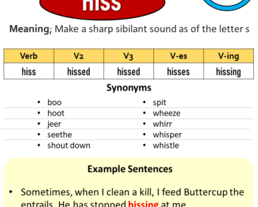 English Study Here