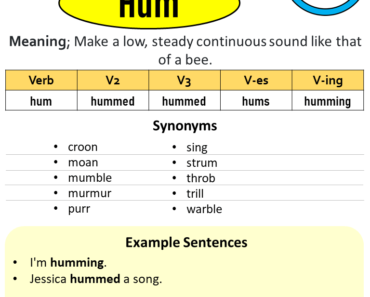 English Study Here