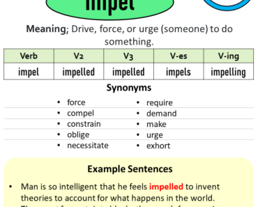 Past Tense of impel Archives - English Study Here
