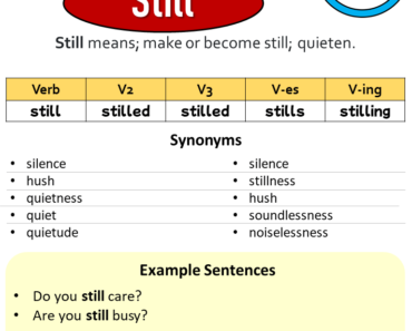 English Study Here