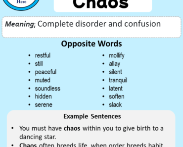 English Study Here