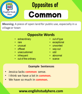 Opposite of Common, Antonym of Common, 17 Opposite Words For Common ...