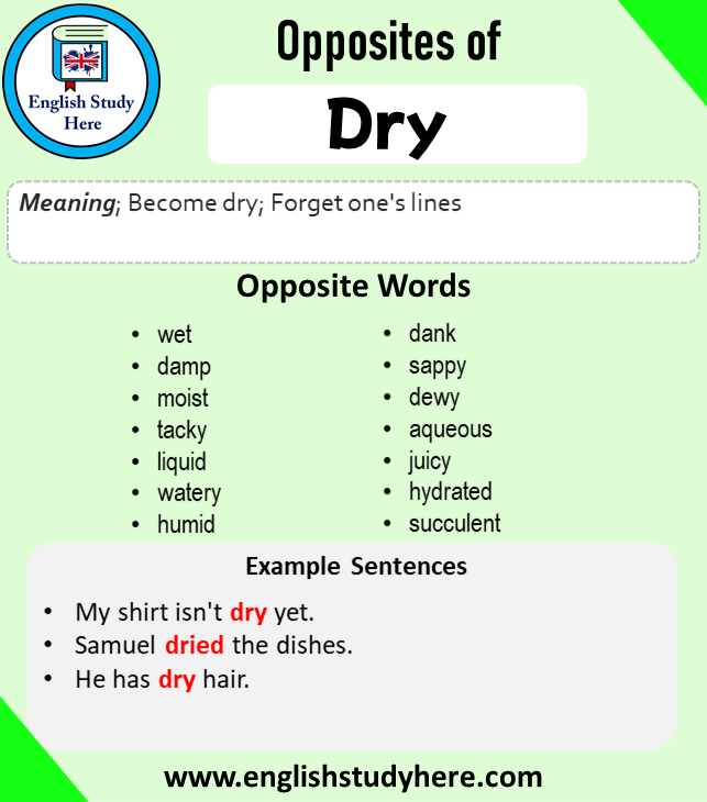 Opposite Of Dry Antonym Of Dry 19 Opposite Words For Dry English Opposite Of Dry Antonym Of Dry 19 Opposite Words For Dry English