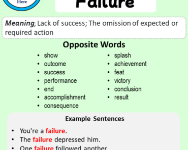 English Study Here