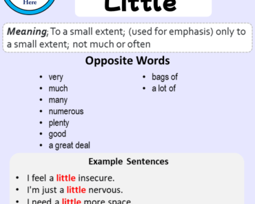 Opposite of Little Archives - English Study Here
