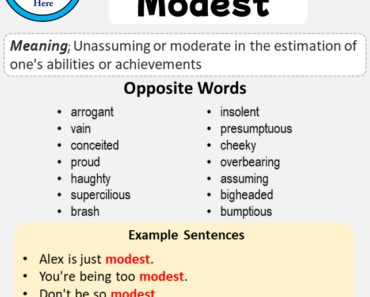 Antonym of Modest Archives - English Study Here