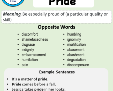 English Study Here