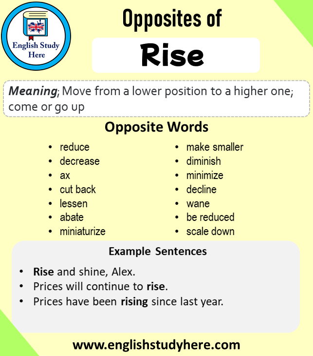 Opposite Of Rise Antonym Of Rise 27 Opposite Words For Rise English Opposite Of Rise Antonym Of Rise 27 Opposite Words For Rise English