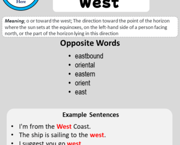 English Study Here