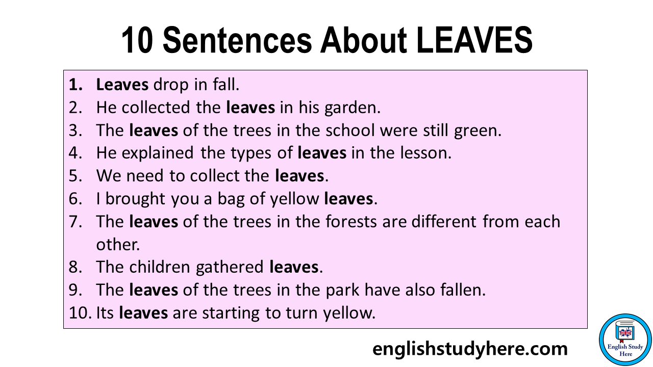 10 Sentences About Leaves English Study Here