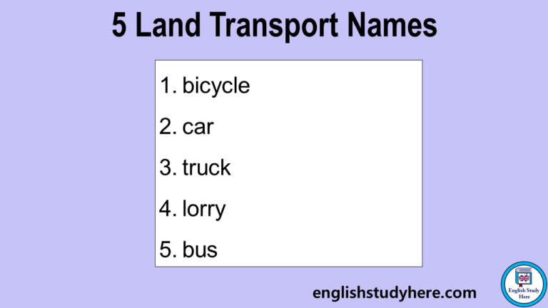 5 Land Transport Names in English - English Study Here