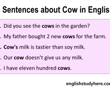 20 Compound Sentences in English - English Study Here