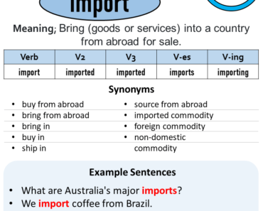 Past Participle of Import Archives - English Study Here