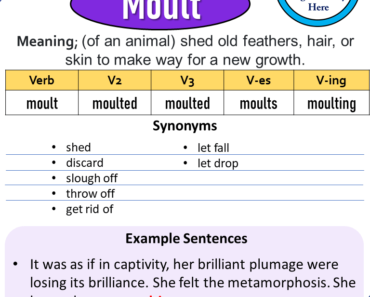 Verbs Archives - Page 4 of 100 - English Study Here